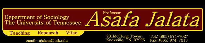 Dr. Asafa Jalata - CV