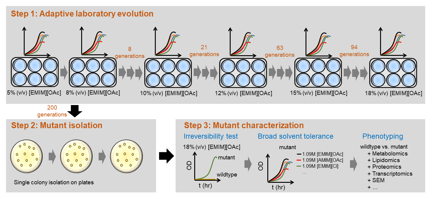 Trinh Lab - Research