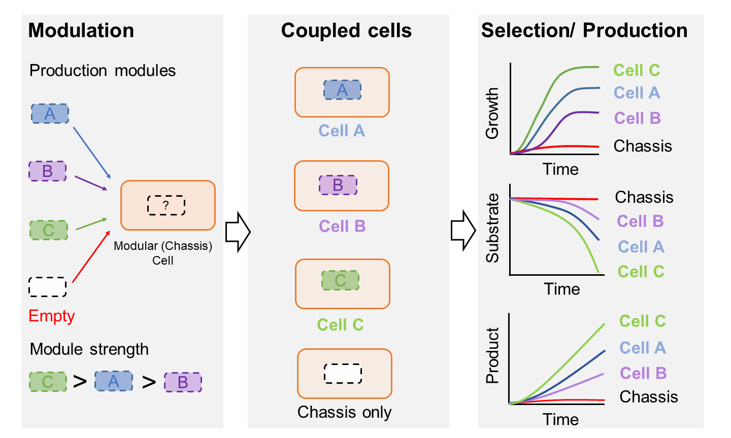 Trinh Lab - Research